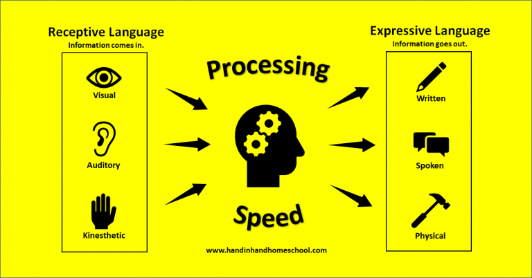 Fast but Slow? Processing Speed and the Gifted Child